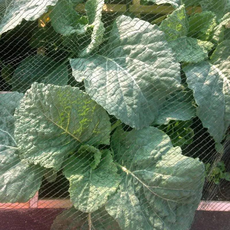 Vlindernet van hobio - Verkrijgbaar in diverse afmetingen – Hobio